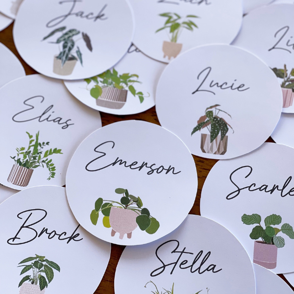 Plant Classroom Decor - classroomHQ