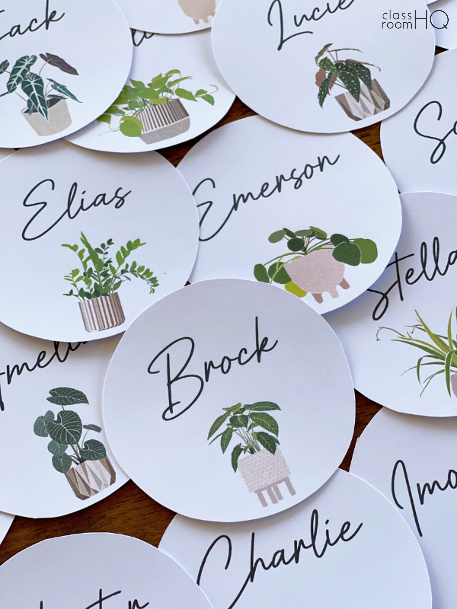 Plant Classroom Decor - classroomHQ