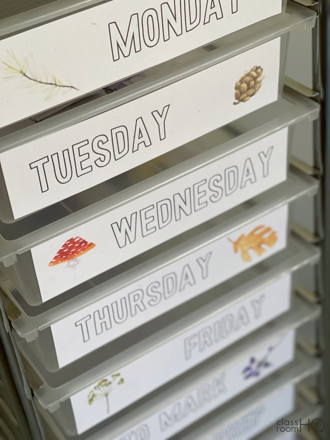 Woodland Forest Classroom Decor - classroomHQ